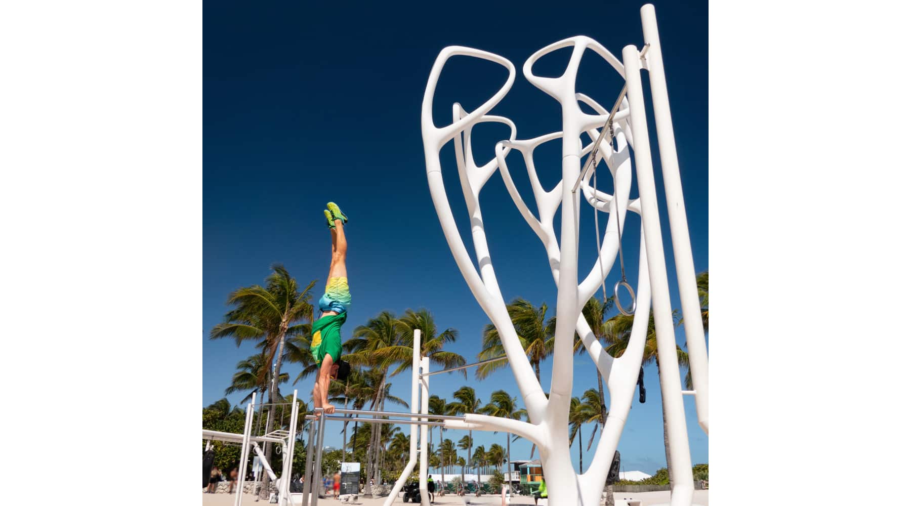 Things To Do in Miami for Adults