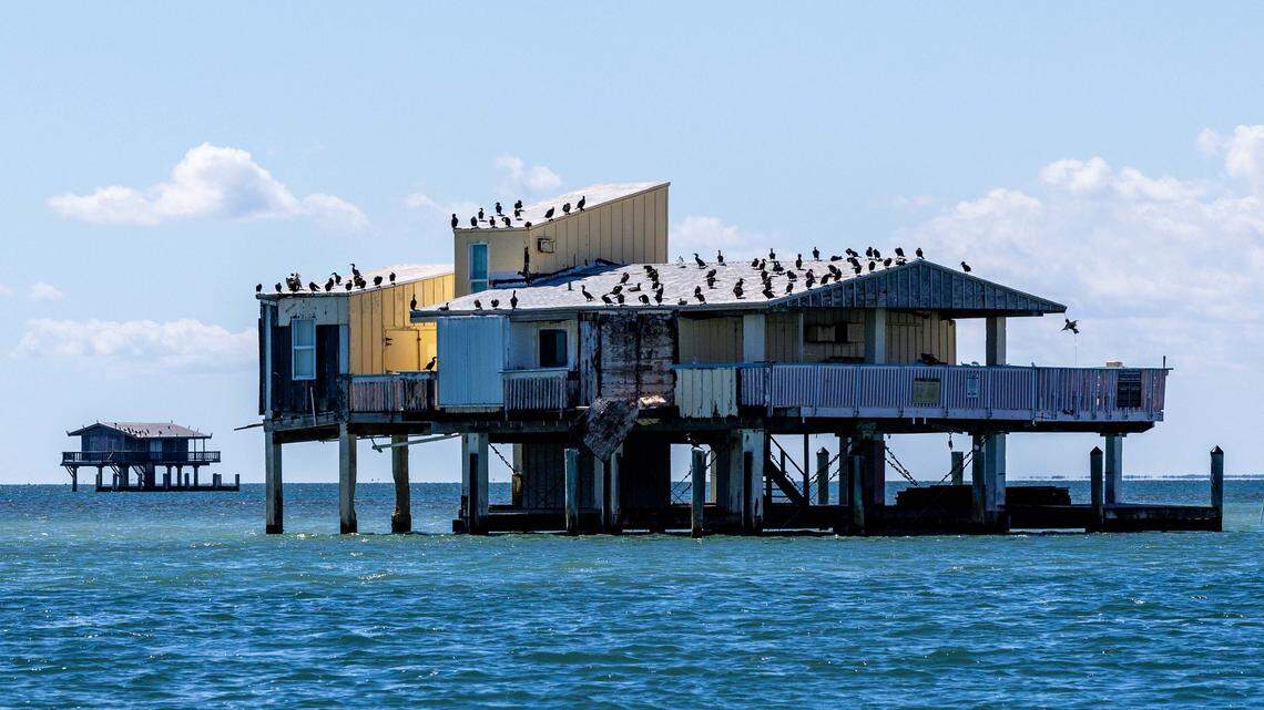 Strange South Florida sights to show guests in Miami | Miami Herald