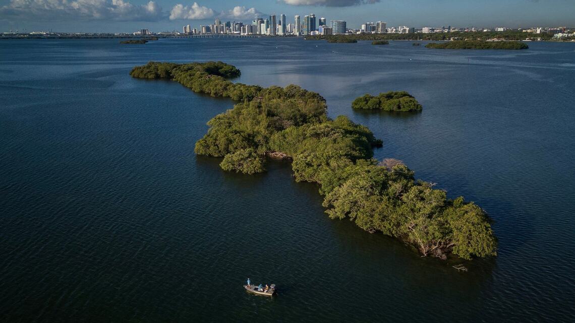 For sale: A rare unspoiled island in Miami’s Biscayne Bay | Miami Herald