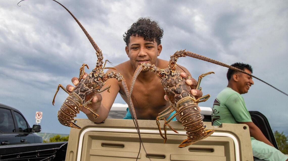 Lobster miniseason marked by rain and wind in Florida Keys | Miami Herald