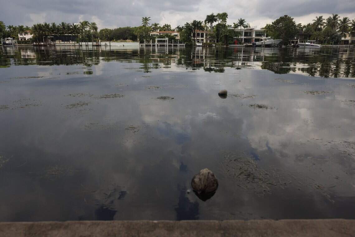 King tides and heavy rain flood South Florida streets | Miami Herald