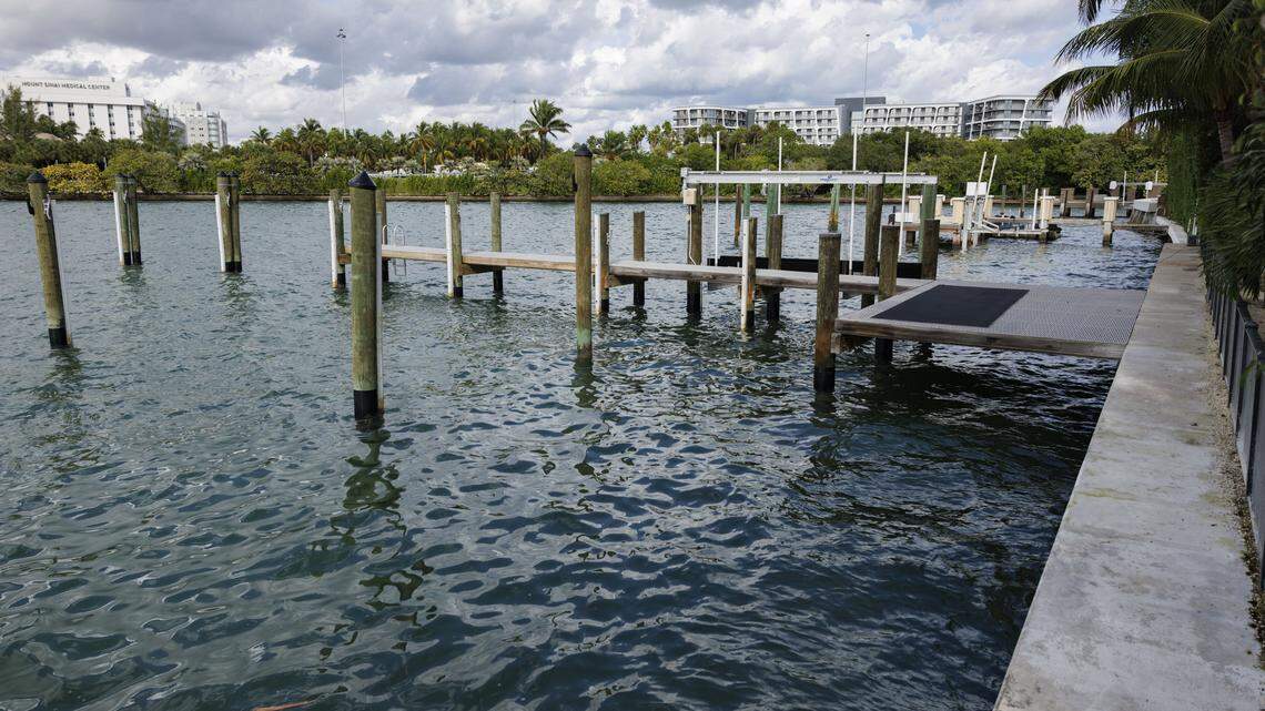 Here are the results in the election for Miami Beach mayor | Miami Herald