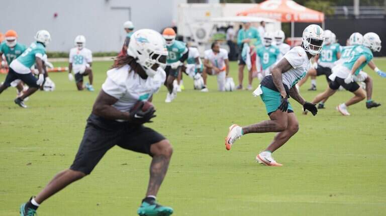 Miami Dolphins Football News, Videos & Scores | Miami Herald