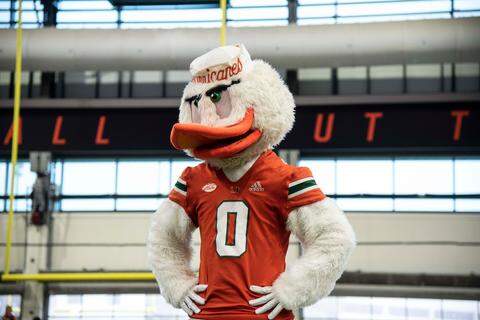 Miami Hurricanes’ Sebastian: Story behind UM’s mascot | Miami Herald