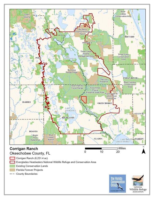 The hope of Florida’s wildlife corridor: Can it help save the ...