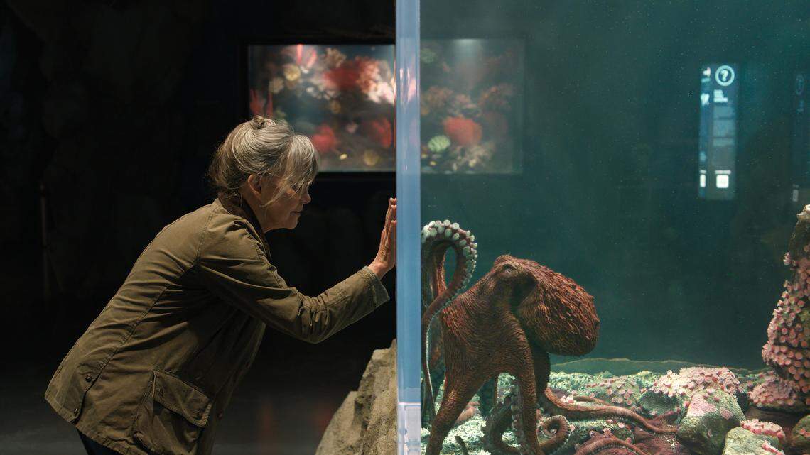 ‘Remarkably Bright Creatures’ Netflix Adaptation: Release Date, Cast ...