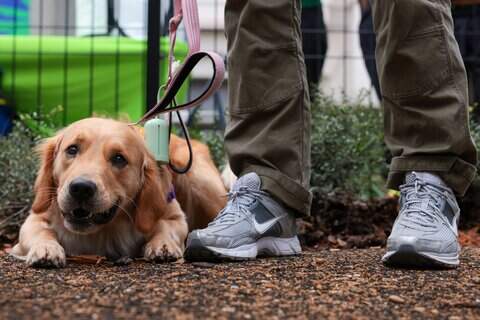 Chewy dog park opens in Coral Gables, part of The Underline | Miami Herald
