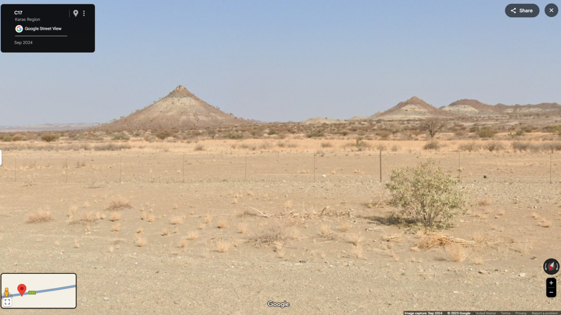 New species of ‘barking’ lizard discovered in Namibia: photo | Miami Herald